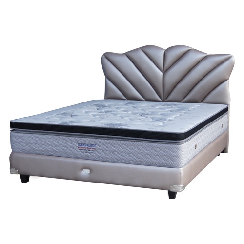 Regular Series – Bigfoam Website